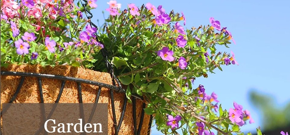 Garden – Tagged "world map"– Backyard Birder Home & Garden | Gift Store