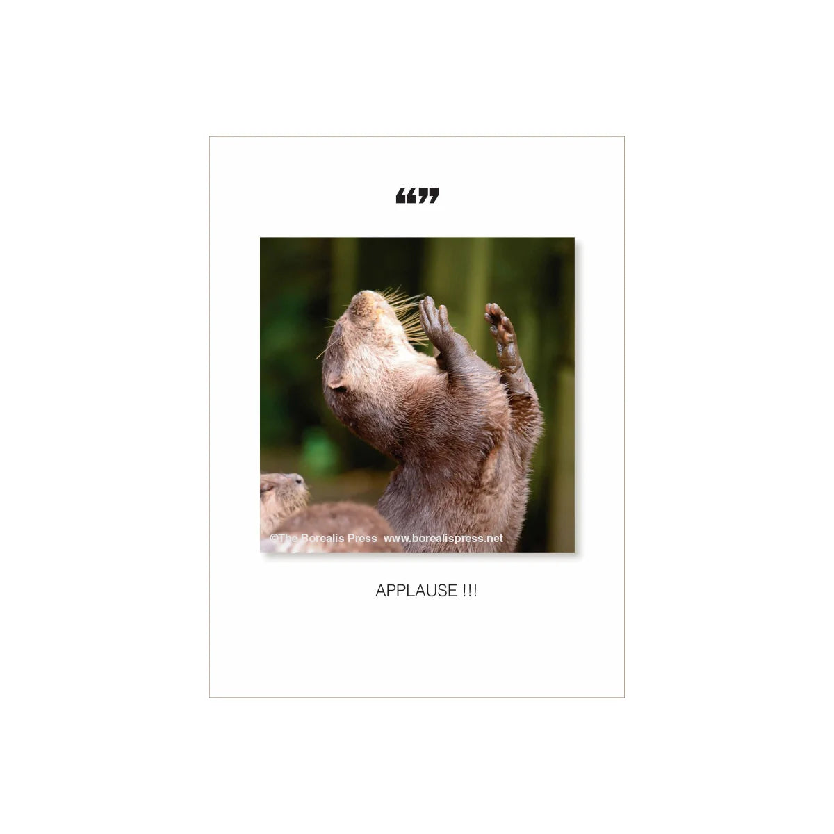 CONGRATULATIONS - Applause!!! – Backyard Birder Home & Garden | Gift Store