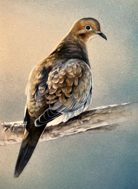Mourning Dove, Early Mourning – Backyard Birder Home & Garden | Gift Store