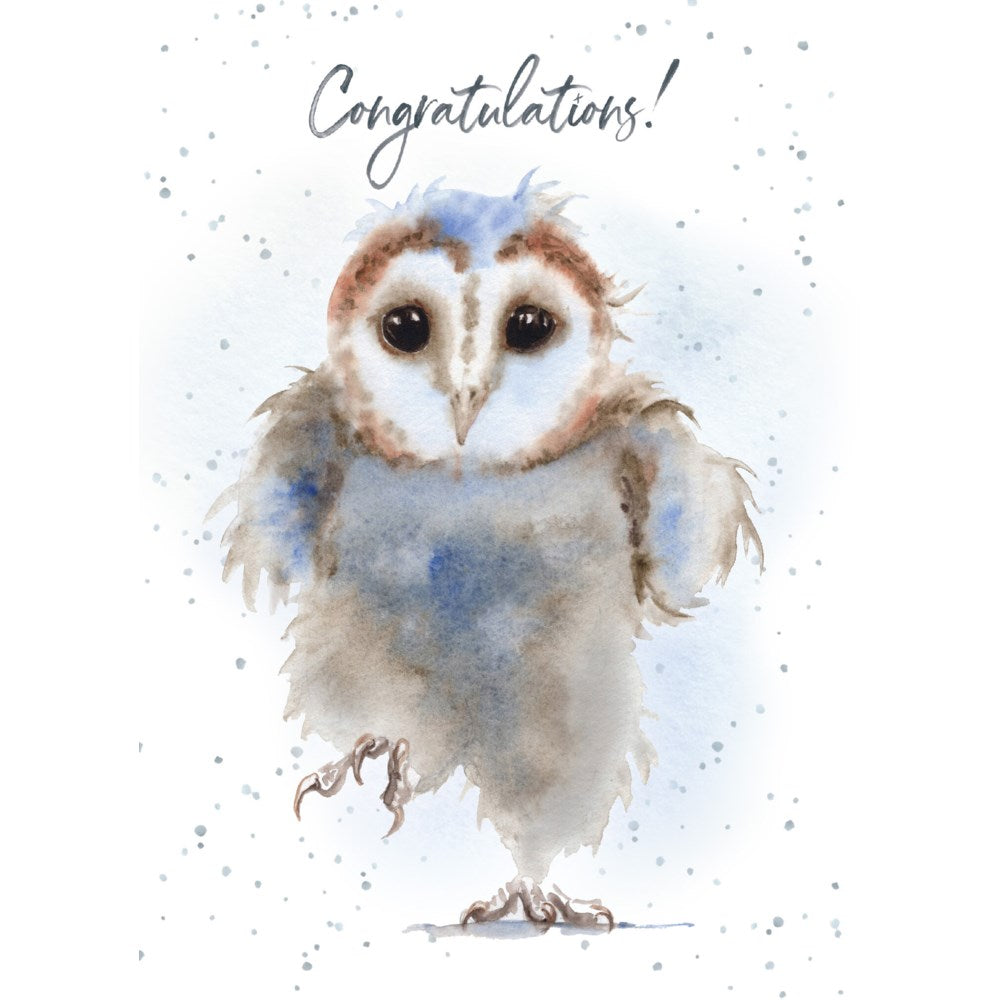 CONGRATULATIONS - Stepping Up – Backyard Birder Home & Garden | Gift Store