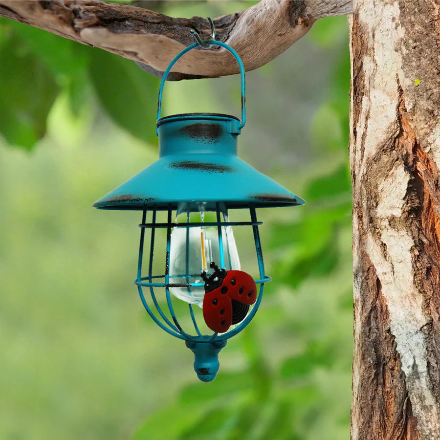 Solar Lantern & Ladybug – Backyard Birder Home & Garden | Gift Store