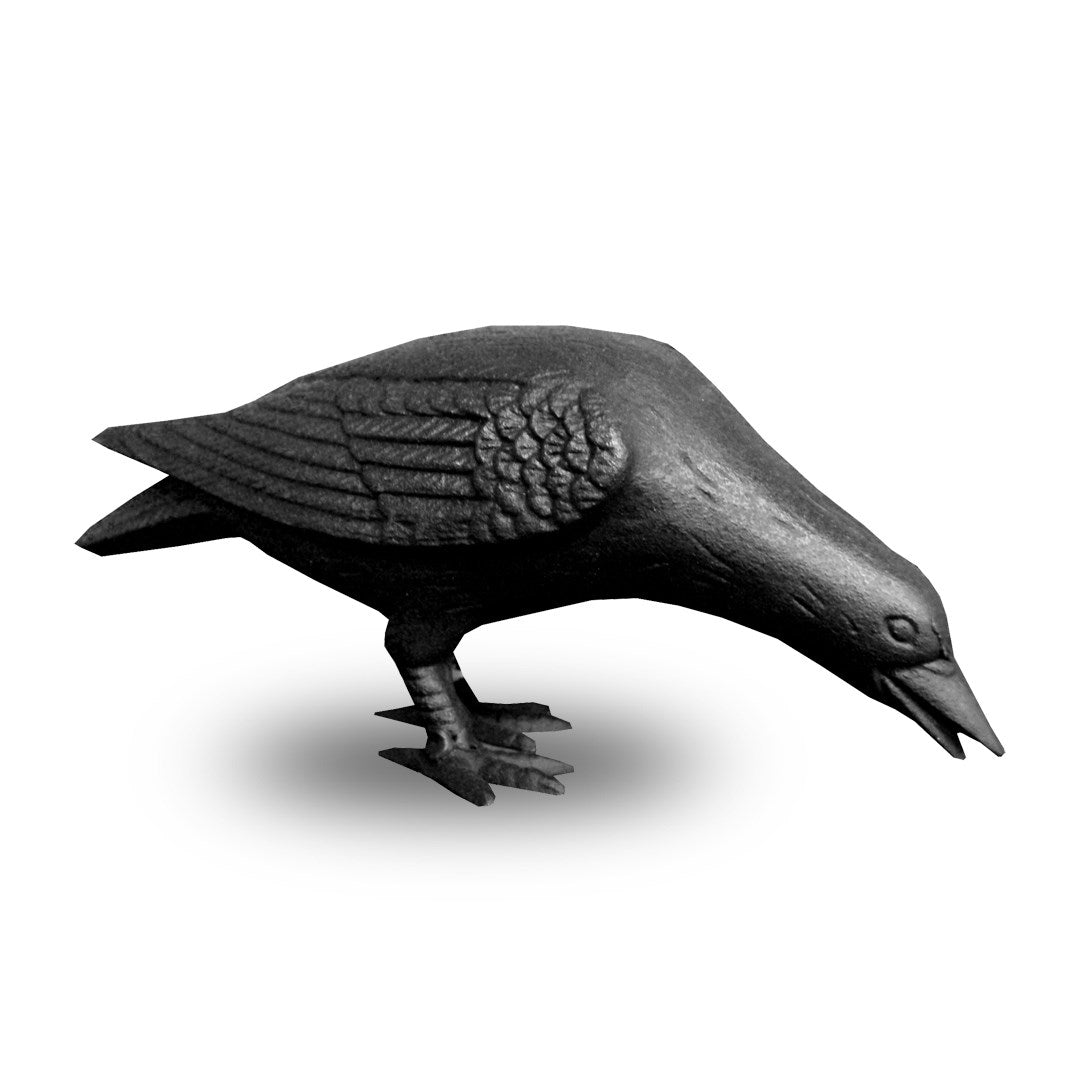 Cast Iron Crow Head Down – Backyard Birder Home & Garden | Gift Store